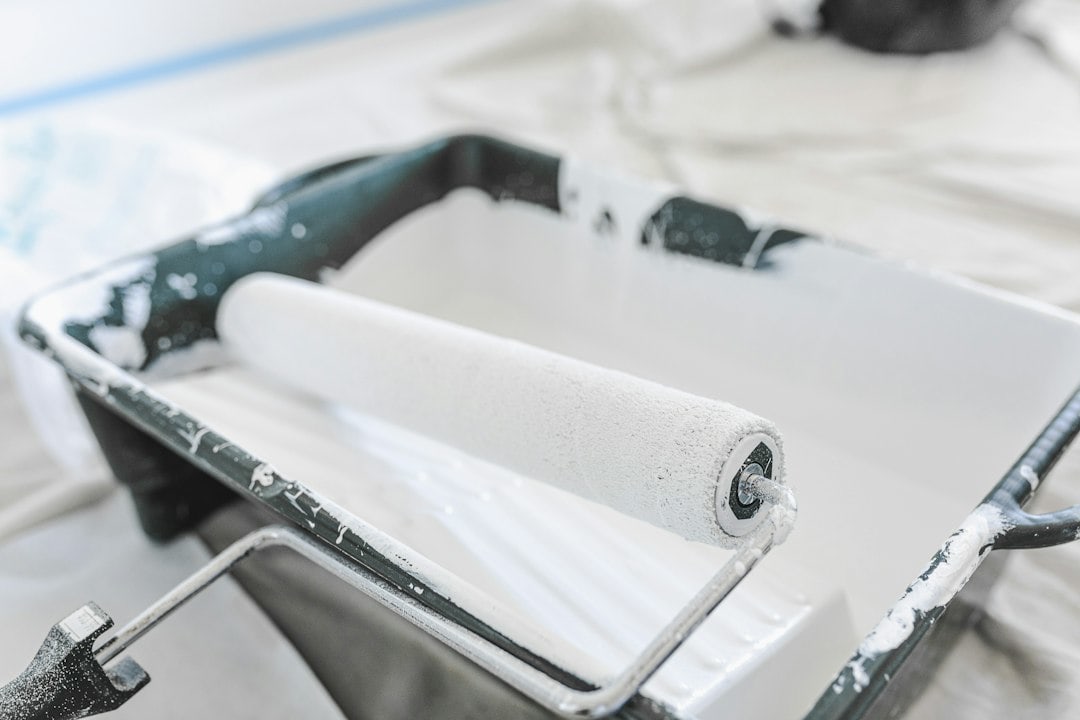 What Rollers Do Professional Painters Use? A Detailed Guide - New Age ...